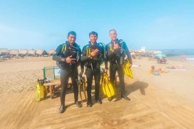 Discover Scuba Diving, Tenerife. Photos and videos included - Price & Value Analysis