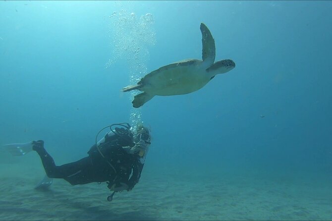 Discover SCUBA Diving with Pissouri Bay Divers - The Experience for Different Travelers