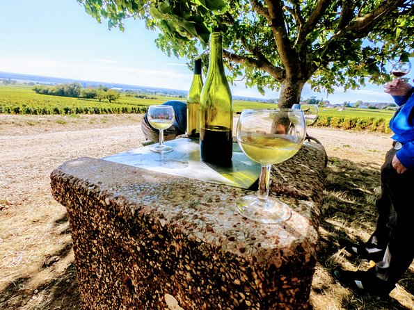 Discovery by bike & Tasting in the vineyards - FAQ