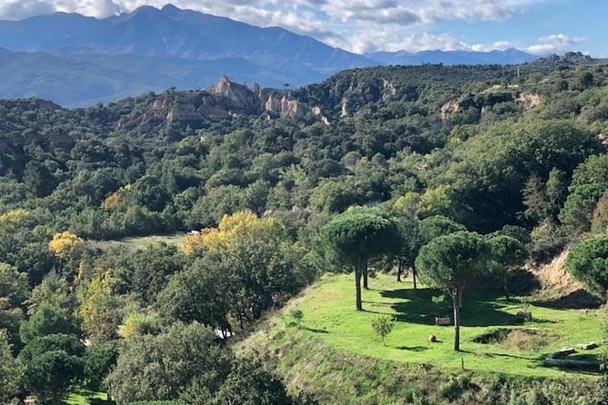 Discovery "les Orgues and truffles" - Practicalities and Value
