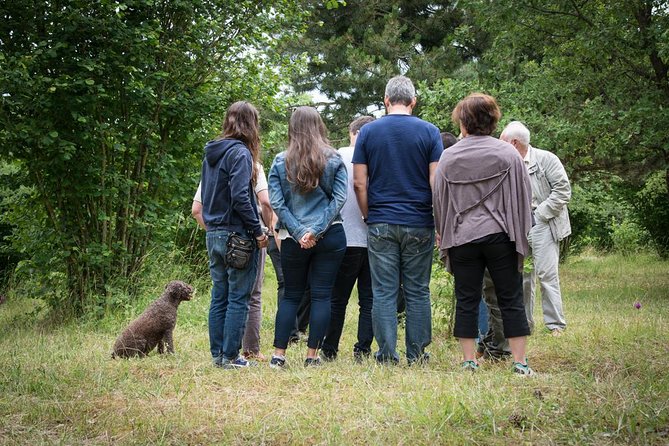Discovery of the world of Truffles and tasting - The Practical Details: Cost, Duration, and Accessibility