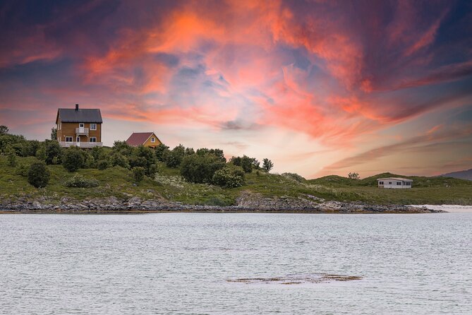 Discovery tour of the island of Senja and Kvaløya from Tromsø - Who Will Love This Tour?