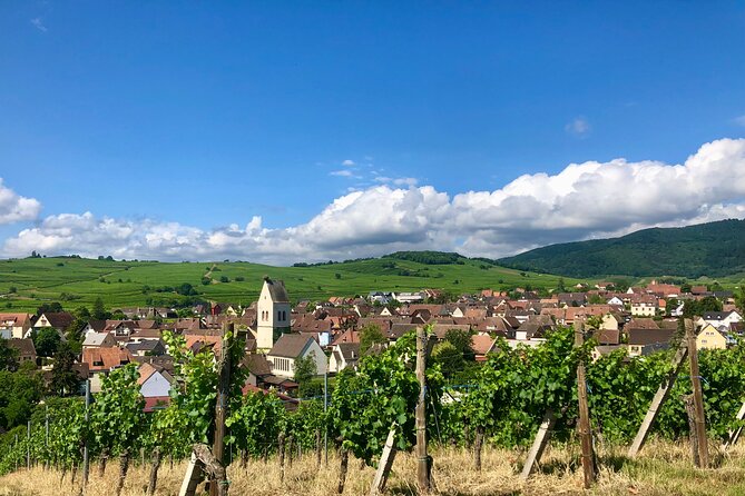 Discovery Vineyard - Final Thoughts: Is It Worth It?