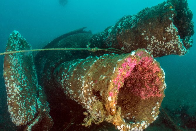 Dive the U-boat 1277, the most iconic dive in Portugal? - Authentic Reviews: What Others Say