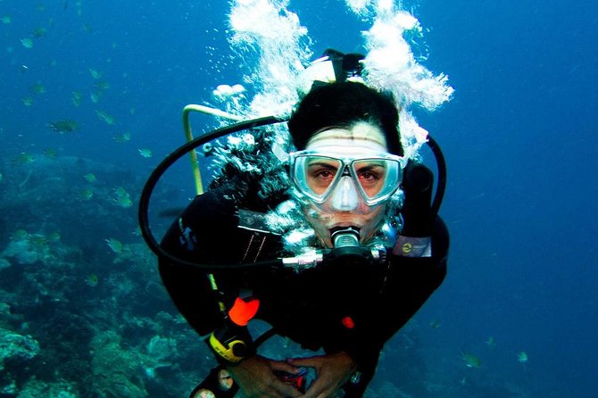 Diving in the Mediterranean sea - FAQ: Your Practical Questions Answered