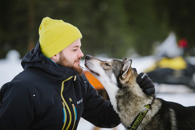 Dogsled Adventure Kiruna - Group Size and Atmosphere