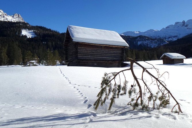 Dolomites of Cortina Winter Hiking & Sledding Experience - FAQs