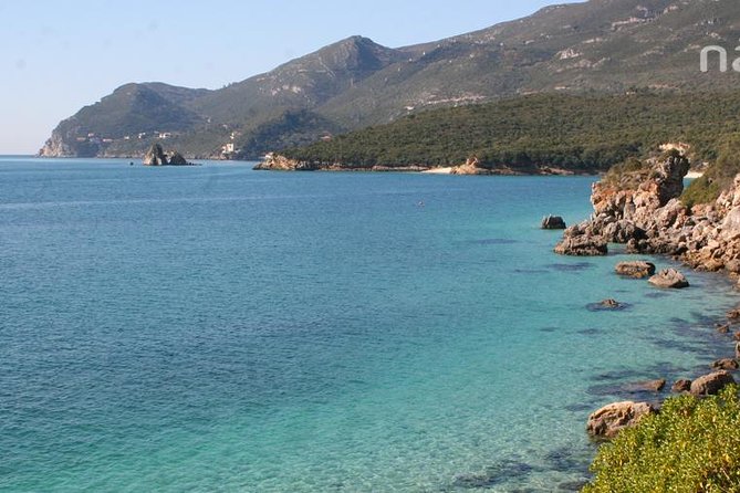 Dolphin Watching in the Wild - Half Day - FAQ
