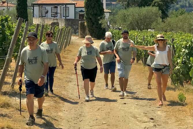 Douro: luxury walking tour with full lunch at Quinta da Pacheca - Authentic Experiences and Guest Feedback