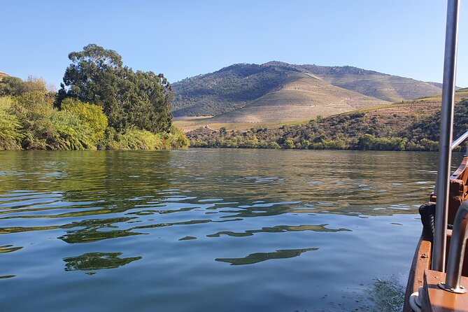 Douro Valley Tour with Train and Vinho Verde - Pricing and Overall Value