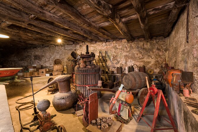 Douro Wine Tasting at a Family Winery in Portugal - Reviews and Authentic Feedback