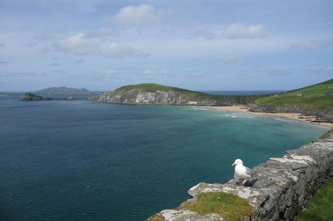 Dublin to South West 5 Day Small-Group Tour with Accommodation - Final Thoughts: Is It Worth It?