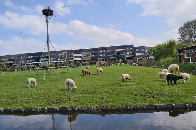 Dutch Windmills & Polder Walking Tour - FAQ