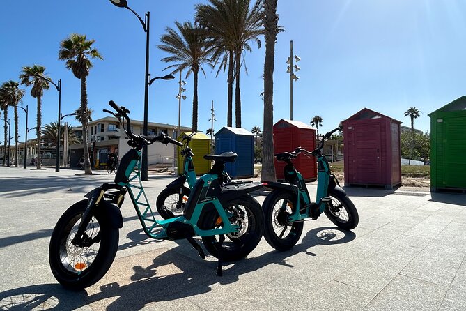 E-bike Tour: Beaches, & City of Arts and Sciences (From 30,00) - Authentic Insights from Reviews