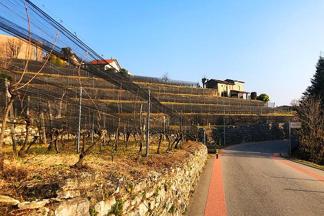 E-Bike Tour Lake Como and Swiss Vineyards - Potential Drawbacks or Considerations