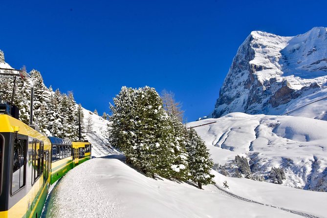 Eiger and Jungfrau Glacier Panorama Tour from Zurich - FAQ (Frequently Asked Questions)