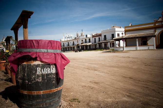 El Rocio, Donana Natural Park and Matalascanas Beach Day Trip from Seville - The Sum Up