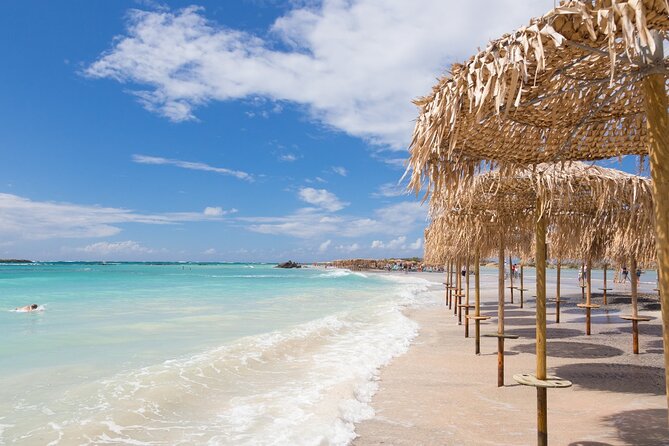 Elafonissi Beach Tour from Chania with stop in Elos Village - Analyzing the Cost and Value