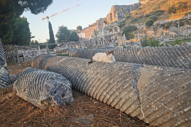 Ephesus Walking Tour - Who Would Love This Tour?