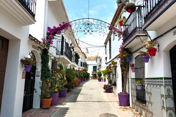 Estepona Private Walking Tour - Pricing, Value, and Practicalities