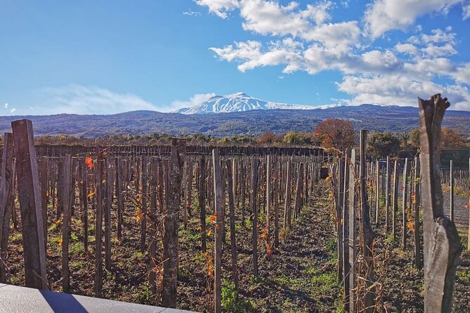 Etna and Wine: Adventure and Tasting between Craters and Cellars - The Sum Up