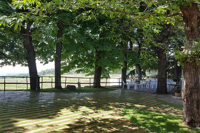 Etna Classic & Winery (day trip) - Practical Details and Value