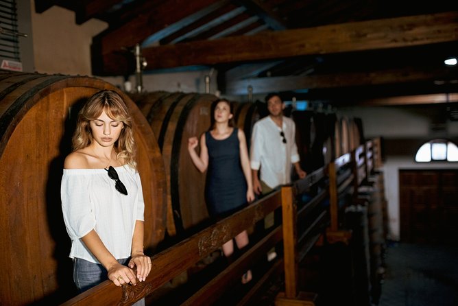 Etna Countryside Food & Wine Lovers Tour (Small Group or Private) - Who Is This Tour Best For?