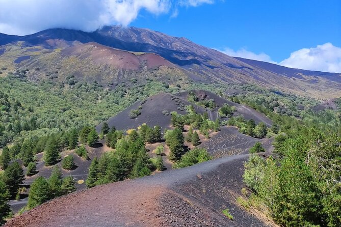 Etna Morning Tour, caves and craters - The Experience in Detail: Walking on Lava and Exploring Caves