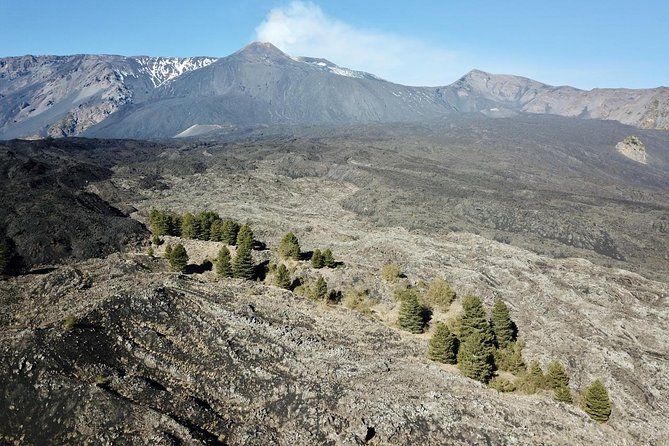 Etna tour 4x4 & Wine Experience in a farm - Who Should Consider This Experience?