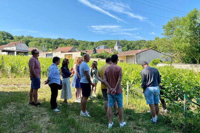Exclusive Champagne Cellars & Dom Perignon Vineyards tour - Practical Tips for Making the Most of This Tour