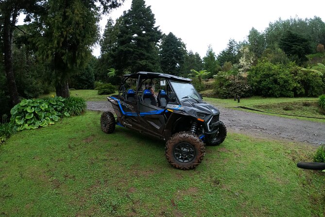 Exclusive Private Buggy Adventure: Forest and Mountains - Who Should Consider This Tour?