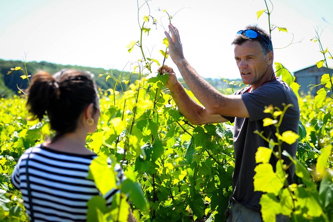 Excursion to the Champagne region and Wine Tasting - The Sum Up