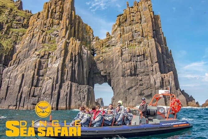 Exhilarating Rib experience - Dingle sea safari - FAQ