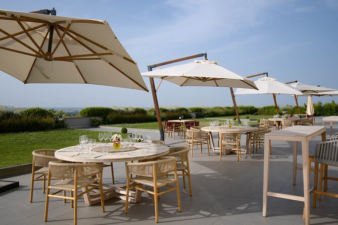 Experience Emilian Wines at Bologna Vineyard Vista - Final Thoughts