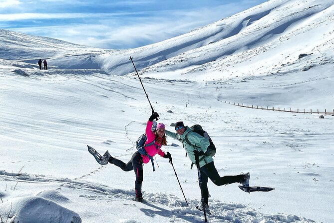 Experience Snowshoeing in Olympic Mountain Bjelanica - What Travelers Say