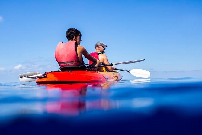 Explore the Island Dragonera by kayak - Practical tips for your kayak adventure