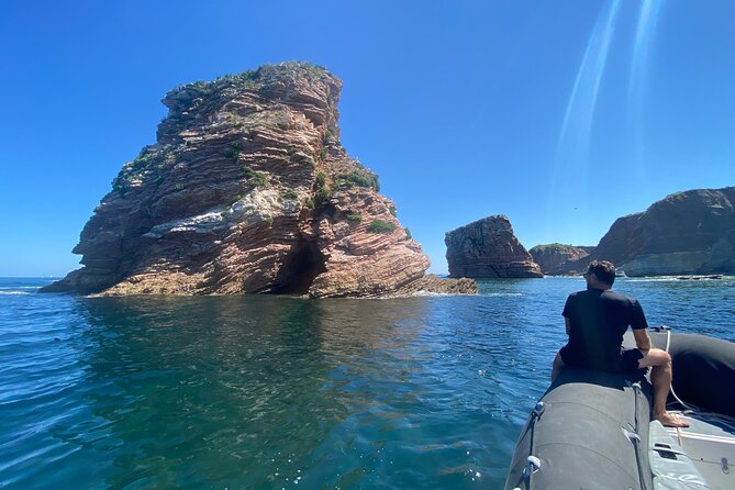 Explore the Wild Beauty of the Basque Coast by Boat - The Sum Up: Who Will Love This?