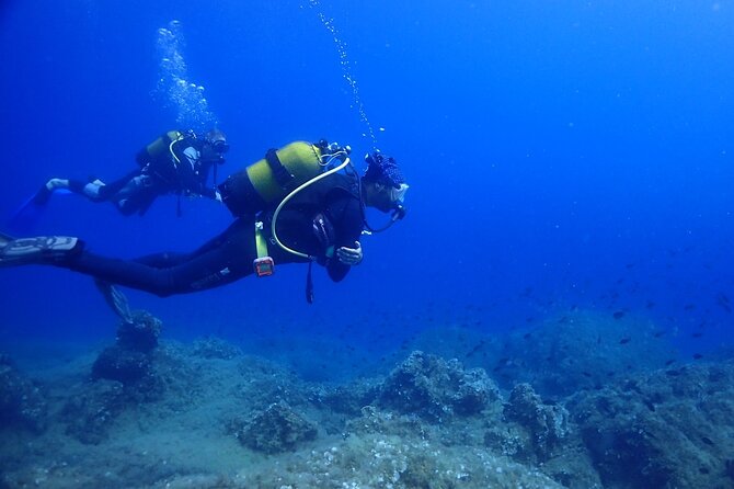Explore World's Largest Plane Wreck by Scuba Diving in Kusadasi - The Crew and Reviews