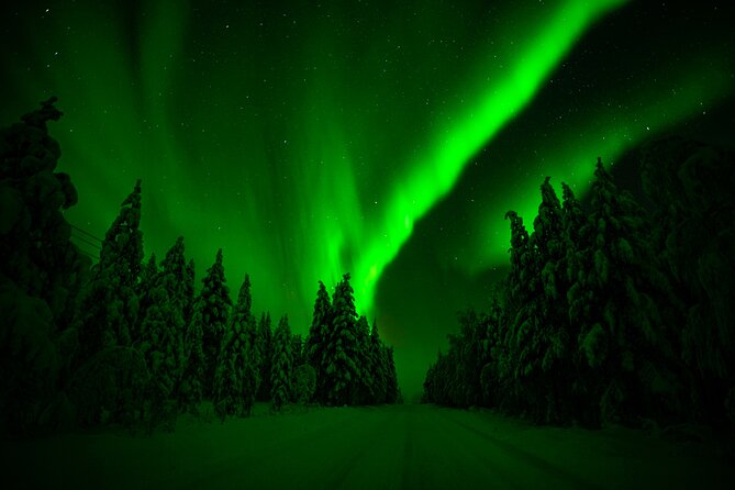 Family-Friendly: Northern Lights Adventure from Rovaniemi - Final Thoughts