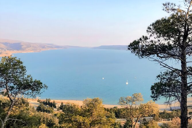 Family Half-Day Tour: Sabaduri, Georgian Chronicles, & Jvari - The Final Word: Who Is This Tour Perfect For?