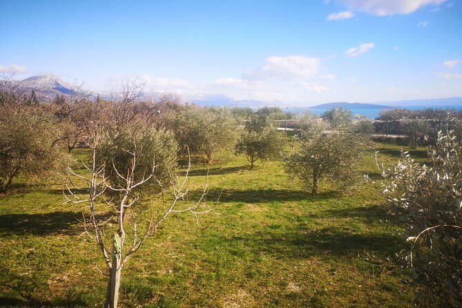Family-run Vineyard Tour & Award Winning Wine Tasting/Delicacies - Practical Details and Booking Tips