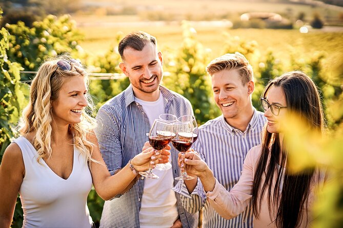 Faro City Portuguese Wine Tasting and Tapas Guided Tour - Final Thoughts