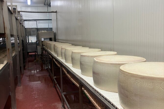 Ferrari, Parmesan and Balsamic Day Tour from Bologna - FAQs