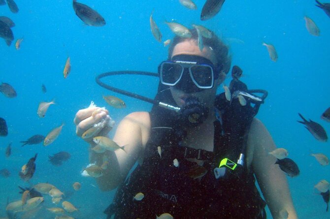 Fethiye Scuba Diving Experience By A Local Expert - Reviews and Real Experiences