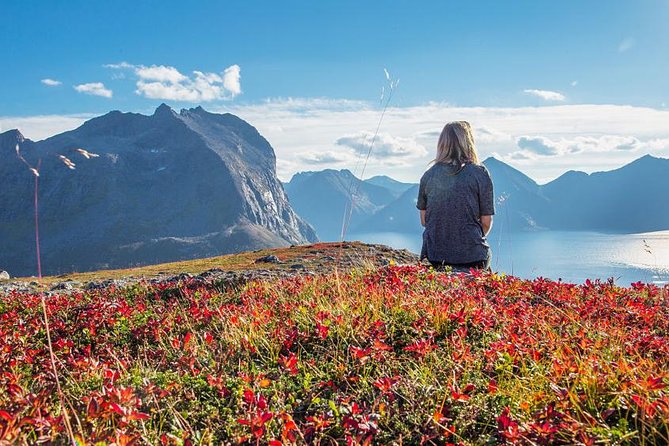 Fjord Expedition: Arctic Adventure Awaits - The Sum Up