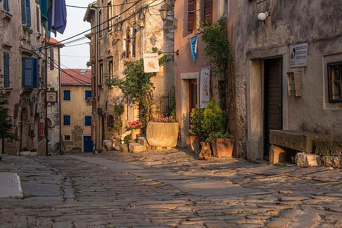 Flavours of Istria Tasting Experience from Koper - FAQs about the Flavours of Istria Tasting Experience