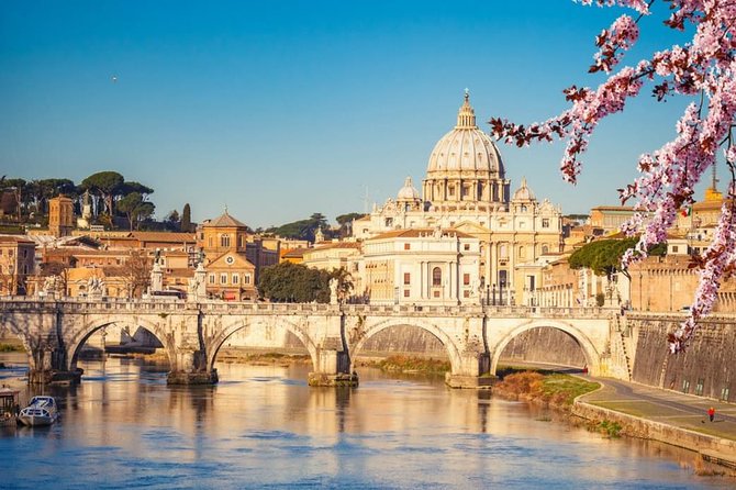 Flexible Private Tour of Rome with English Speaking Driver - Price and Value Analysis