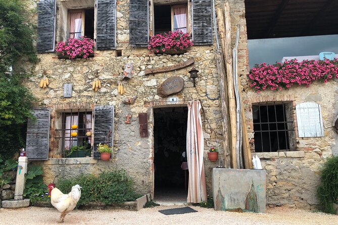 Food and Wine Tour on the Prosecco Hills from Venice - Balance and Value