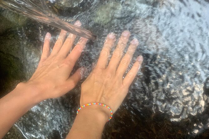 Forestbathing Slow Walking and Healing Spring Water, Stockholm - Who Should Consider This Tour?