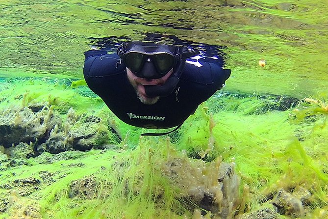 Freedive Silfra Half Day Tour - Who Will Love This Tour?